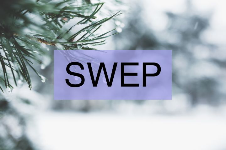 Ferry Project | News | SWEP